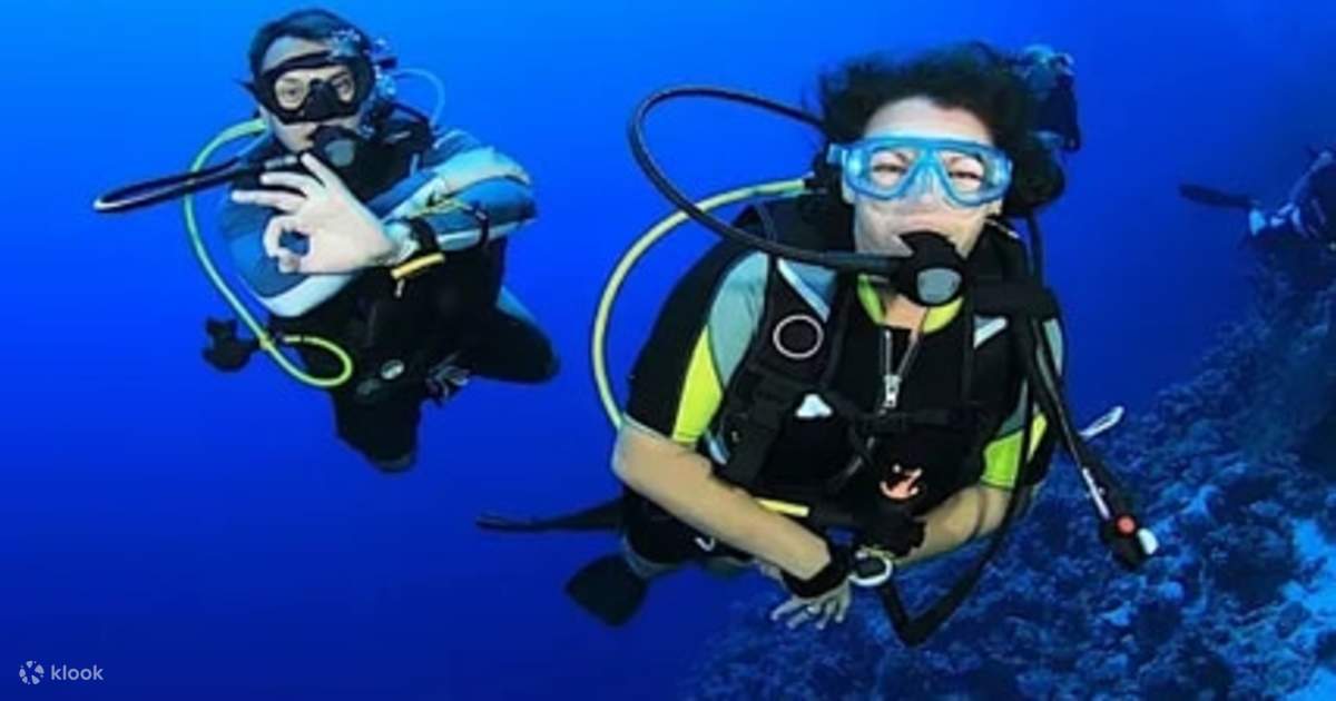 Scuba Diving for Beginners in Marmaris and Icmeler - Klook Singapore