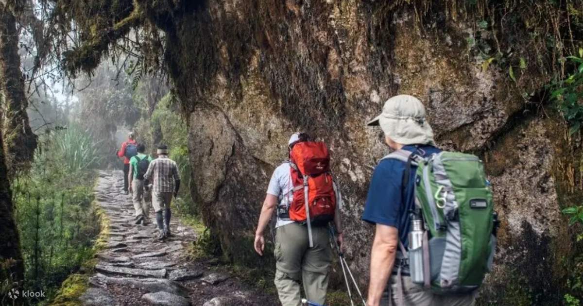 2D1N Machu Picchu & Winay Wayna Private Trekking Tour from Cusco ...