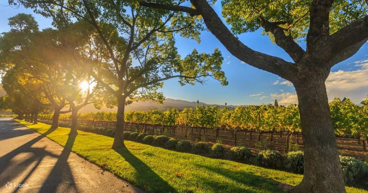 VIP Swan Valley Perth Wine Tour - Klook Singapore