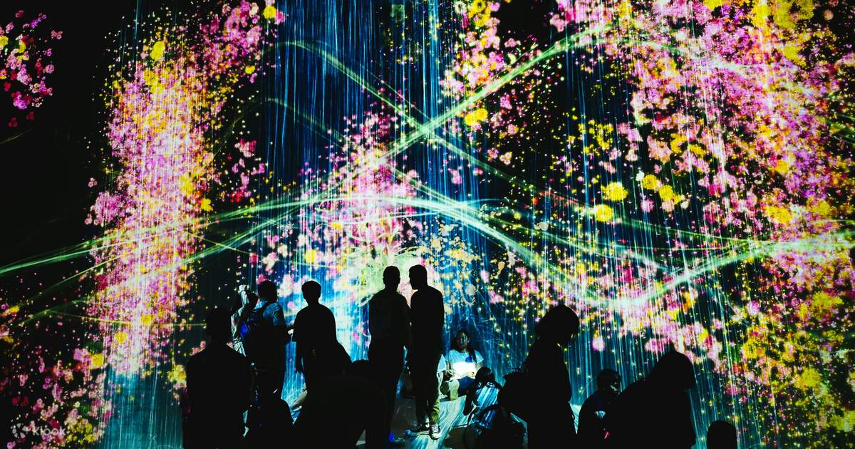 Kyoto & TeamLab Biovortex Experience Walking Tour - Klook Singapore