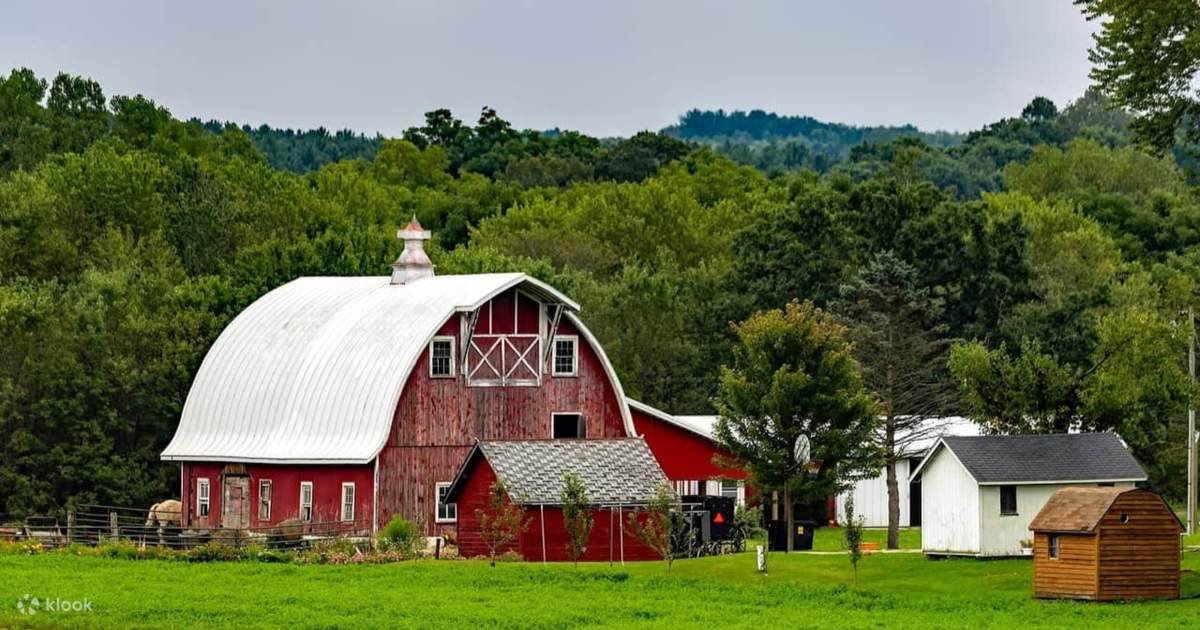 Lancaster Amish Village and Bird-in-Hand Market Day Tour - Klook United ...