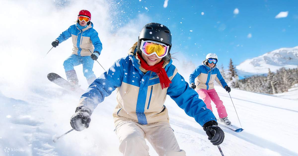 Nami Island Winter Highlights: Vivaldi Ski Resort Day Tour - Klook Malaysia