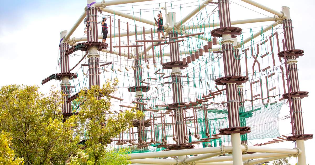 Next Level High Ropes Course in Maroochydore - Klook Australia