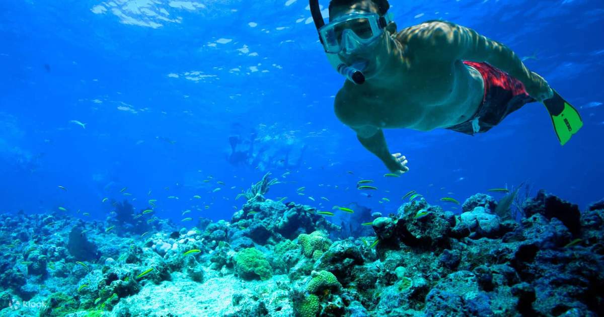 Snorkeling Adventure in Key West - Klook Philippines
