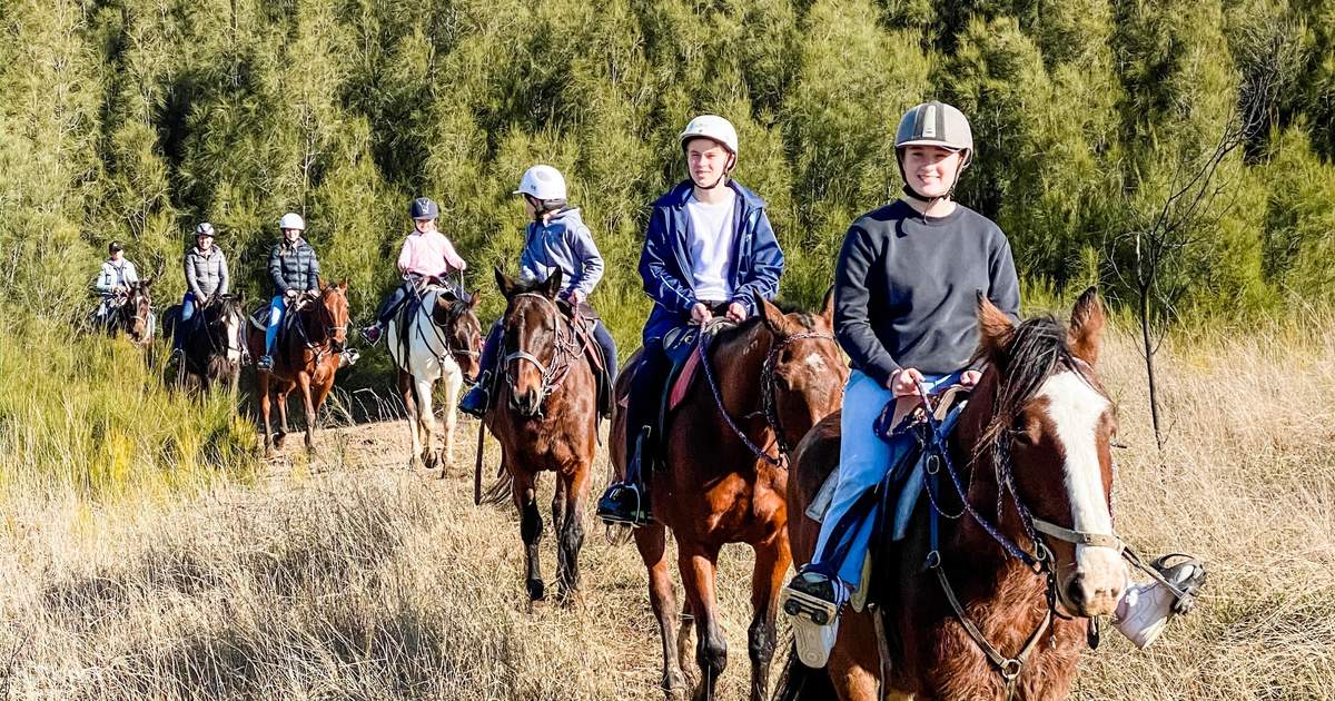 Hunter Valley Day Tours and Experiences - Klook Australia