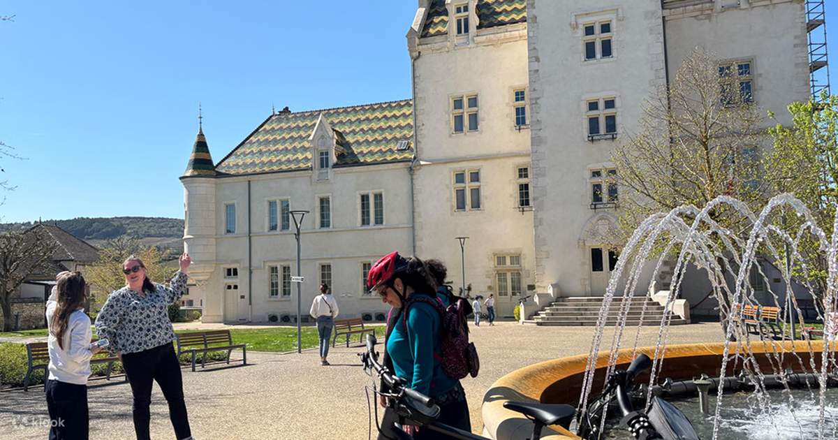 Burgundy Full-Day E-Bike Wine Tour from Beaune - Klook United Kingdom