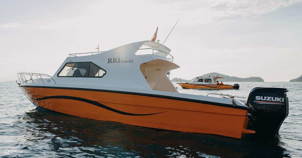 Half Day Speedboat Tour from Labuan Bajo - Klook