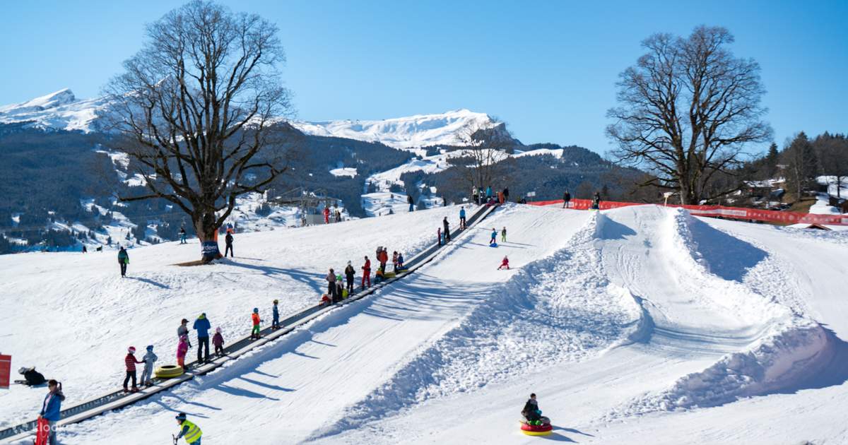 Sledding and Tubing in Grindelwald Bodmi Arena - Klook
