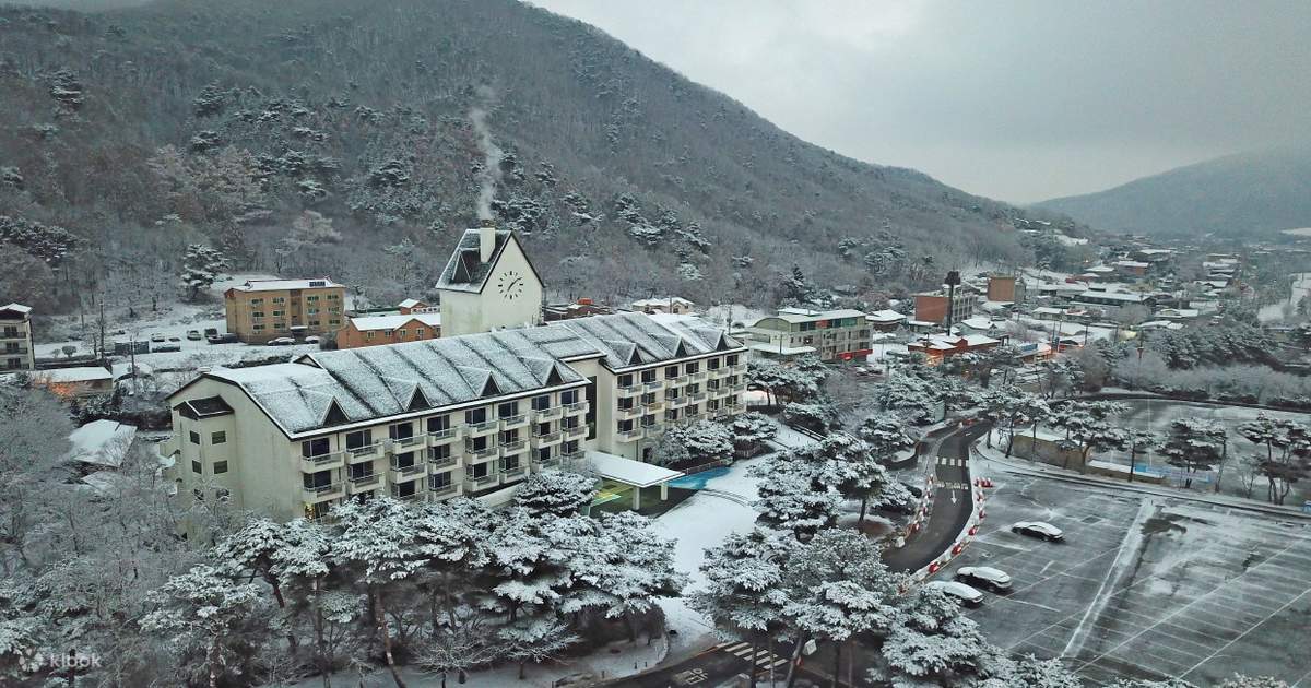 Jisan Forest Ski Resort Private Tour - Klook Singapore