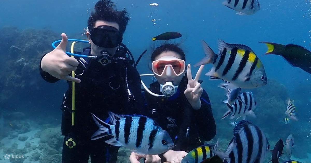 Pengalaman Menyelam Kenting Taiwan, Menyelam Scuba, Kursus OW Tingkat ...