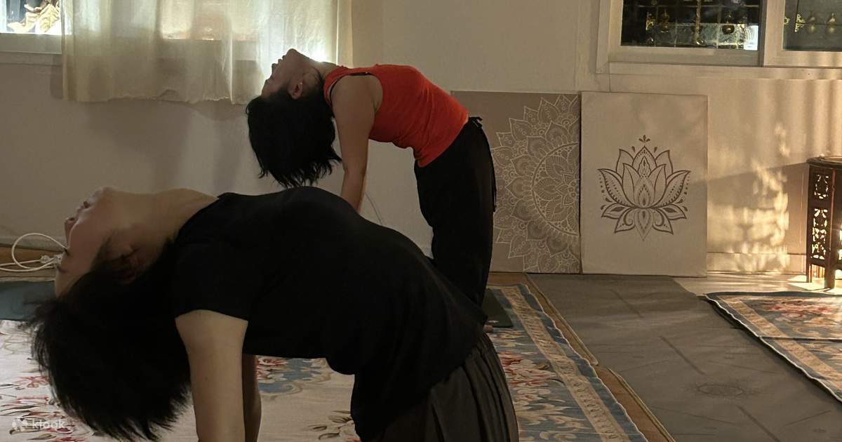 Classic Hatha Yoga & Puer Tea Talk Experience in Seoul - Klook Philippines
