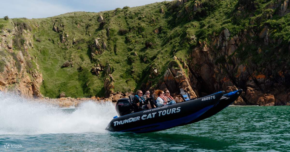 Thundercat Race Boat Experience in Bass Coast - Klook