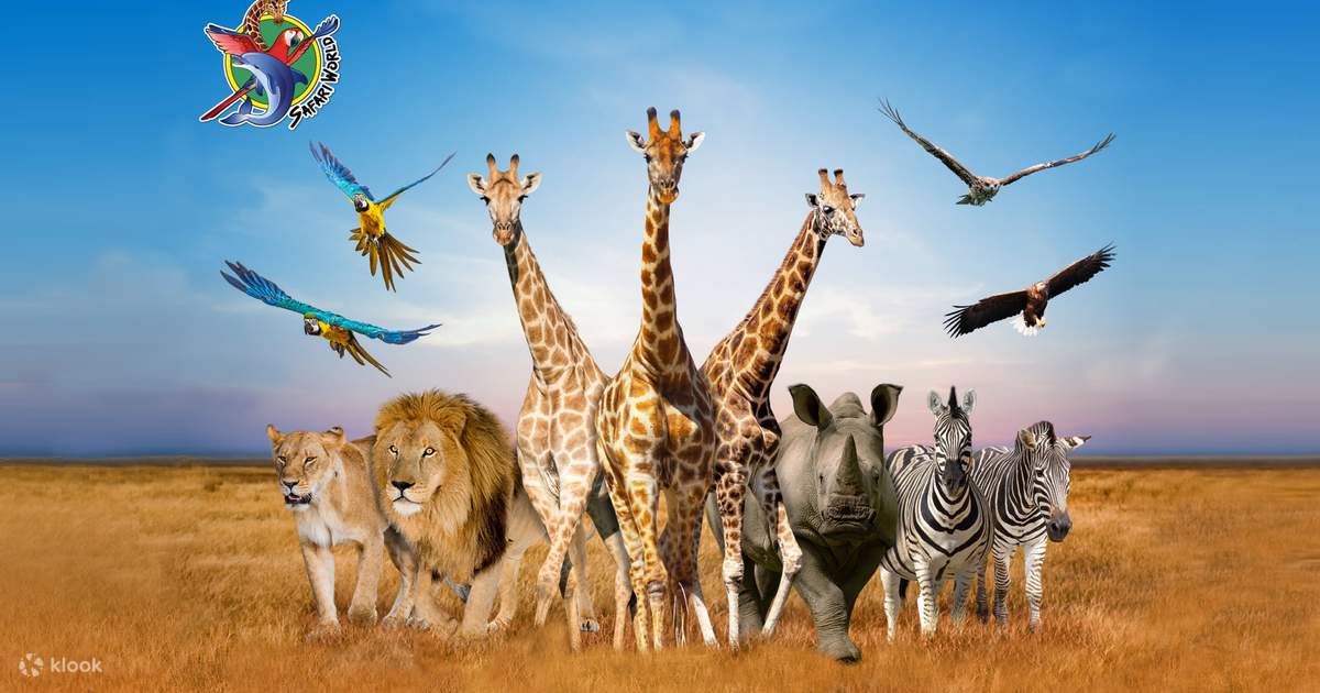 Buy Bangkok Safari World Tickets Online and Meet Exotic Animals - Klook