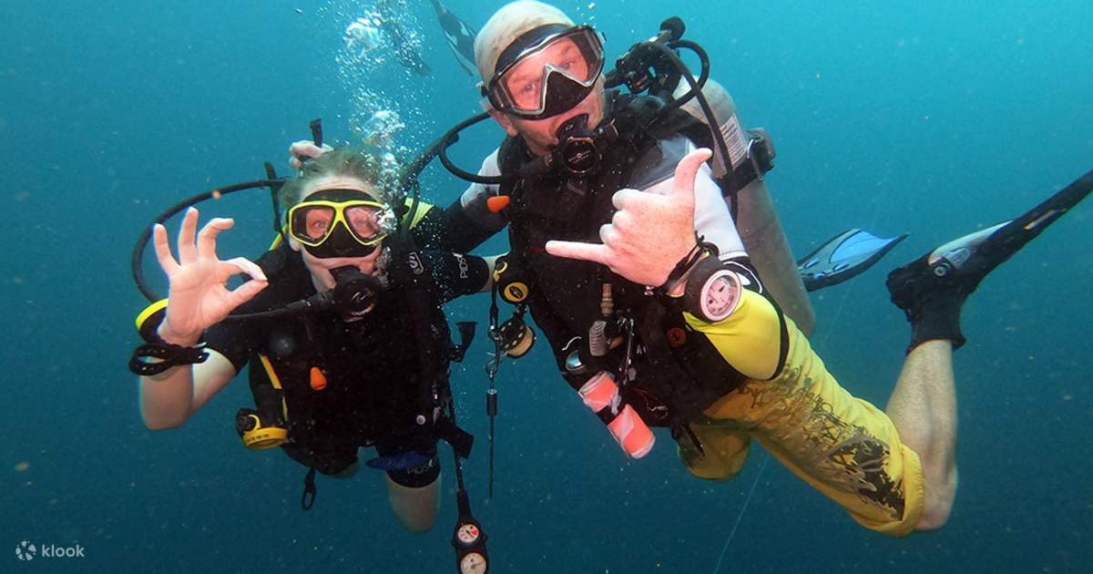Experience PADI Try Scuba Diving in Koh Phangan with PADI 5 Star Dive ...