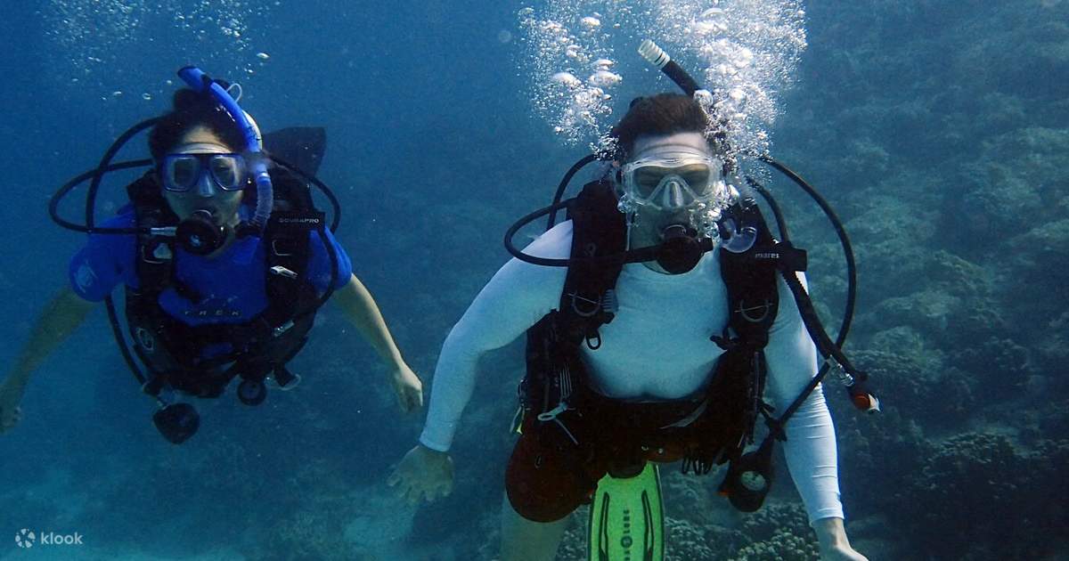 ดำน้ำที่ Dog Leg Reef ในกวมสำหรับนักดำน้ำที่มีใบรับรอง - Klook ประเทศไทย