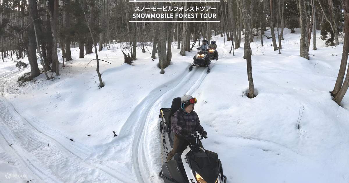 Yadake Ski Resort Snowmobile Forest Exploration Experience (Nagano ...