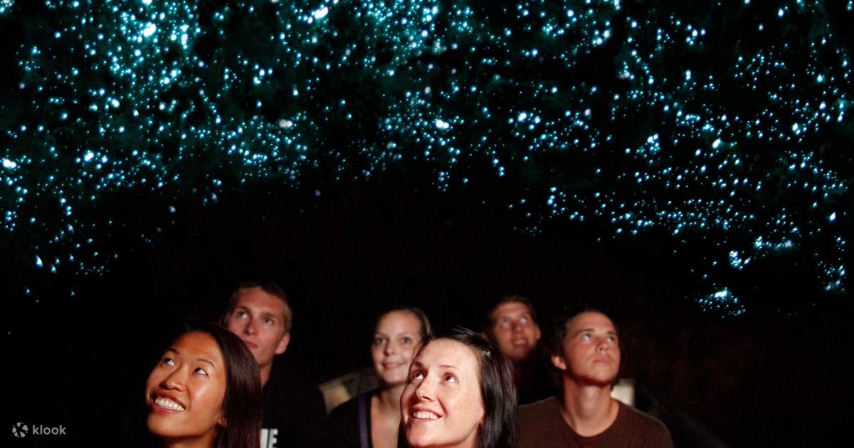 Waitomo Caves and Kiwi House Small Group Tour From Auckland - Klook ...