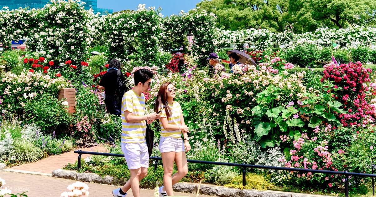 Yokohama Chinatown, Temples & Bayside Red Brick Warehouse Walking To ...