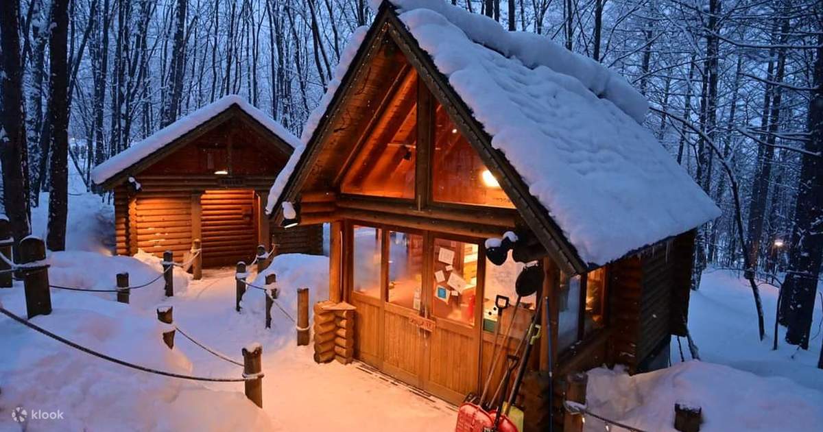 ประสบการณ์ชมการประดับไฟยามค่ำคืนที่บ่อน้ำสีฟ้าชิโรงาเนะและ Forest Elf ...