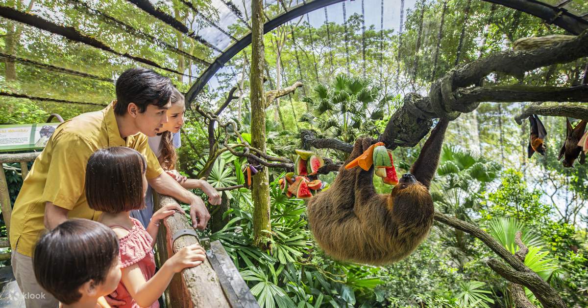 Singapore Zoo Ticket | Mandai Wildlife Reserve, Singapore - Klook