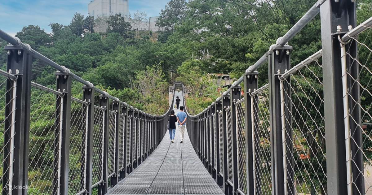 Gaeseong Ginseng Experience & Paju DMZ & Aegibong Day Tour - Klook ...
