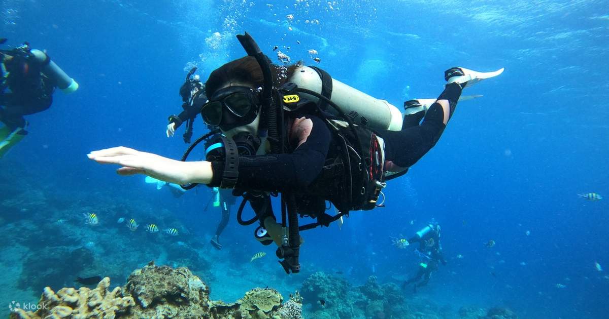 Blue Ocean Diving Center Green Island - Fun Dive, Shore Dive, Night ...
