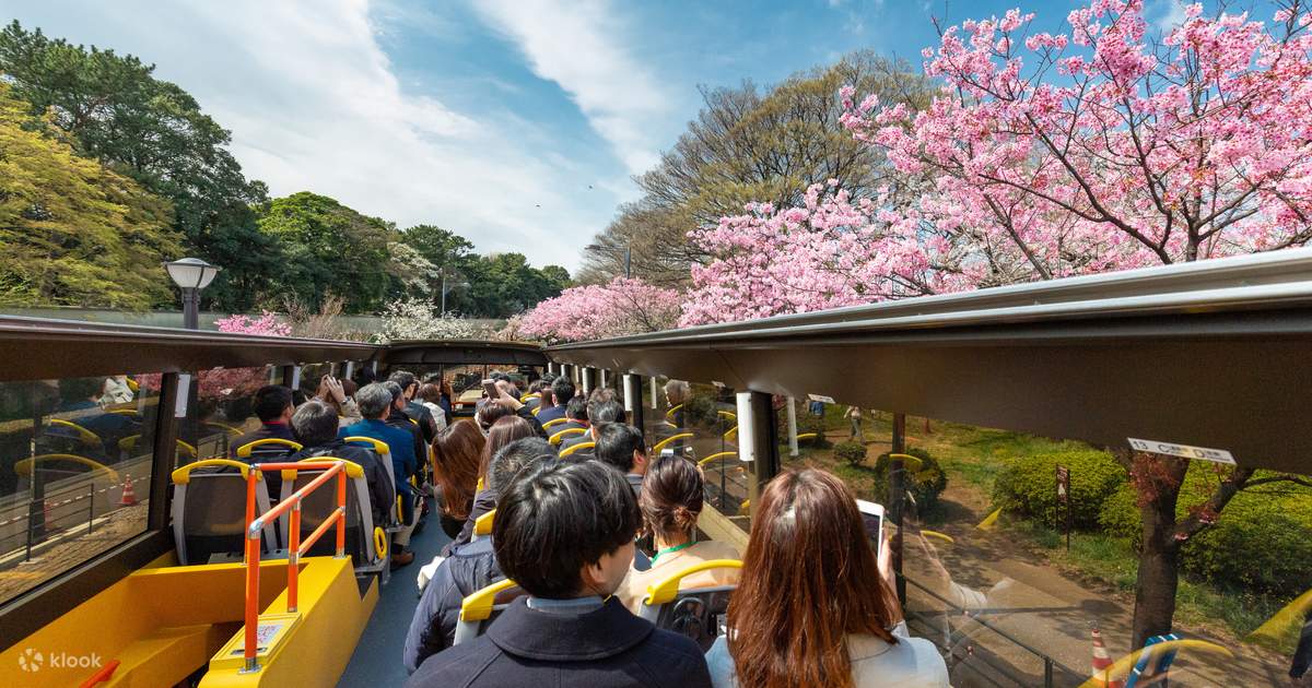 Tokyo City, Open Top Bus Sightseeing Bus Trip - Klook