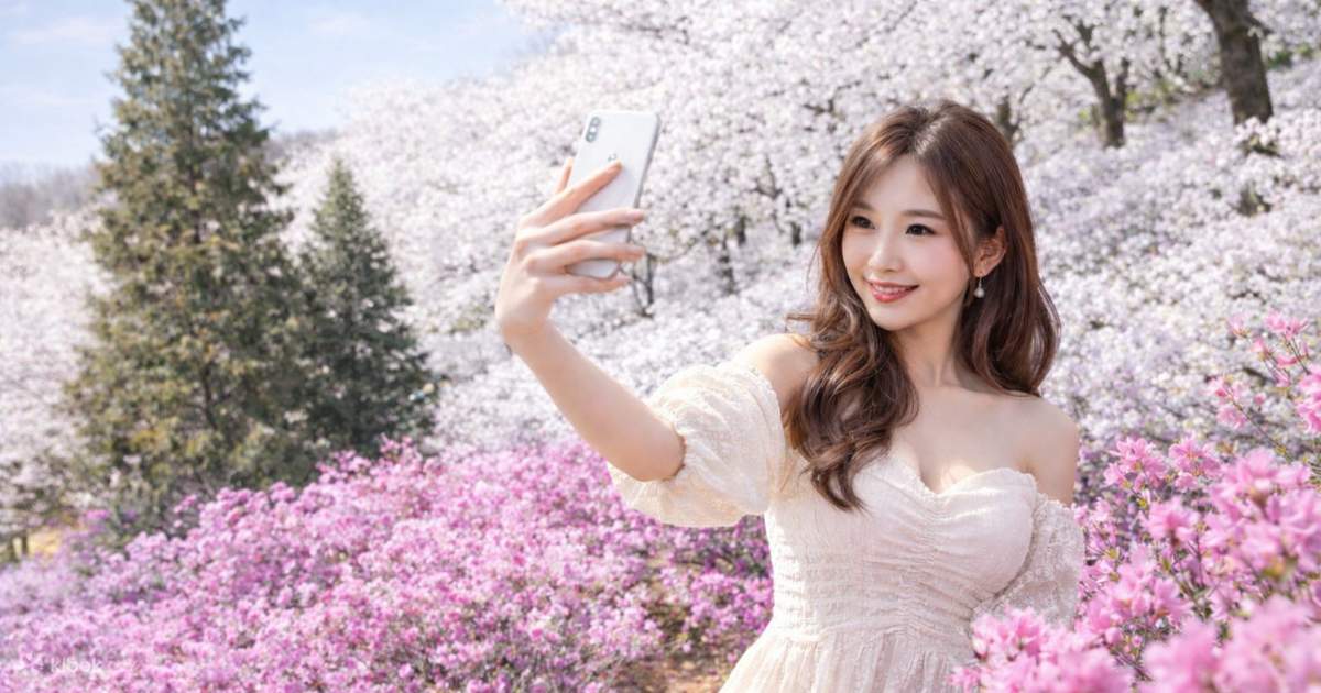 Incheon Spring-only Tour - Klook Singapore