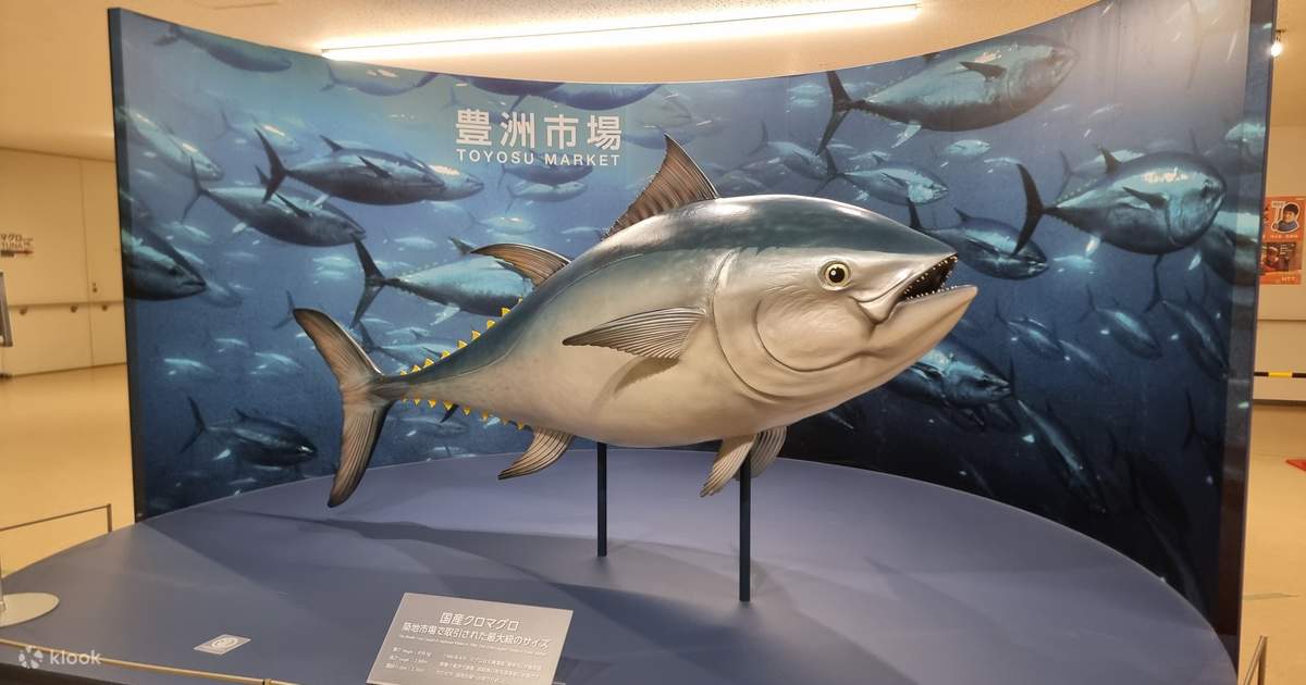 Tokyo Toyosu Fish Market Tuna Auction with Fresh Seafood Buffet Tour ...