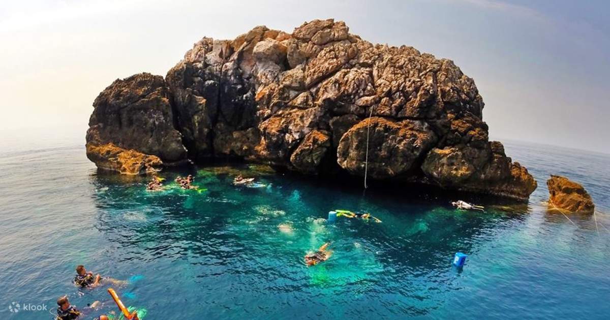 Sail Rock Half-Day Dive Trip in Koh Samui with PADI 5 Star Dive Resort ...