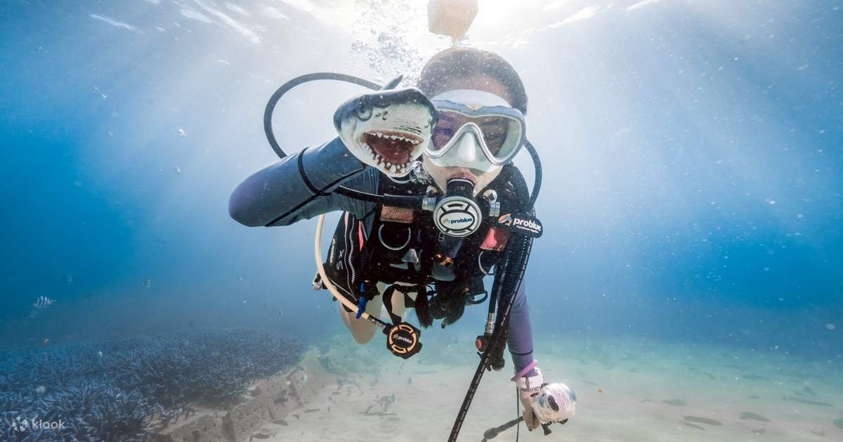 Menyelam di Penghu: Xingren Diving - Pengalaman Menyelam (Tanpa Lisensi ...