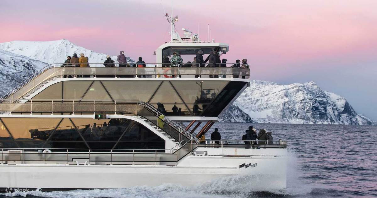 Arctic Fjord Boat Tour from Tromso - Klook United States