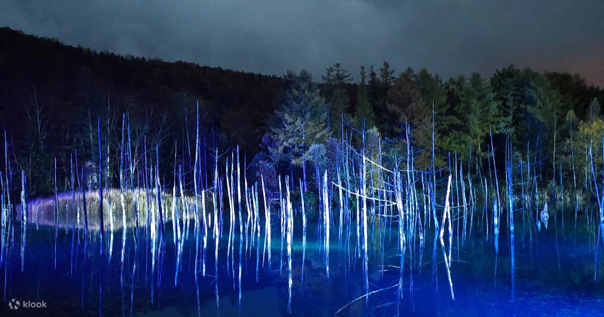 Illumination Tour: Furano Elf Terrace, Biei Blue Pond & Shirahige Falls ...