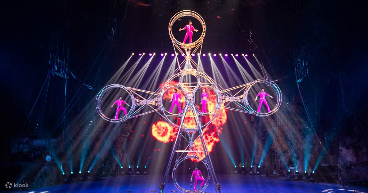 Guangzhou Chimelong Safari & Circus Private Full-Day Tour - Klook ...