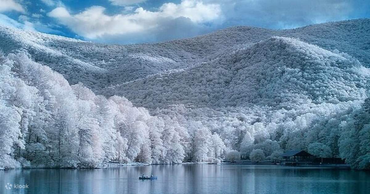 Amicalola & Blue Ridge导览 & 小团一日游 - Klook客路