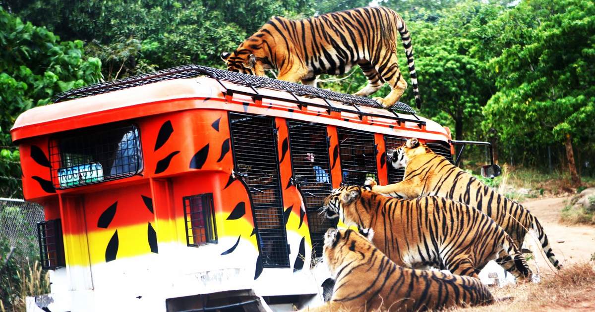 Zoobic Safari Admission Ticket in Subic from Manila, Philippines ...