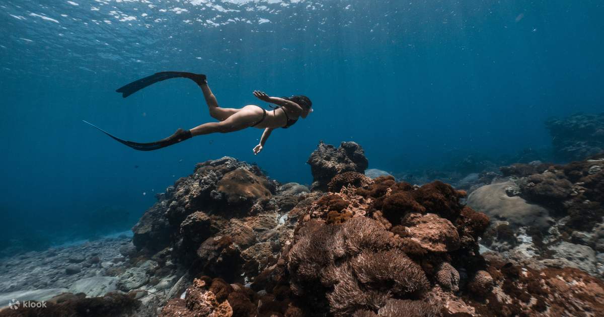 Taitung: Green Island Freediving Experience (No License Required ...