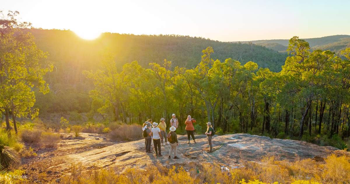 Caminata Guiada Definitiva por Perth Hills - Klook Estados Unidos