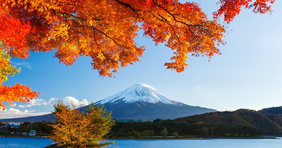 Best Mount Fuji Camping, Japan 2025