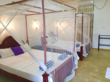 Aloha Beach Resort in | 2023 Updated prices, deals - Klook United States