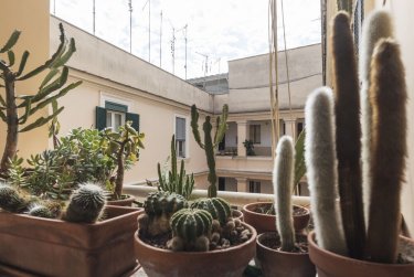 Via Natale del Grande in Rome | 2024 Updated prices, deals - Klook ...