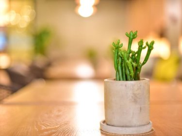 True Go Hotel (Beijing Huaxiang Tiantan Hospital) in Beijing | 2024 ...