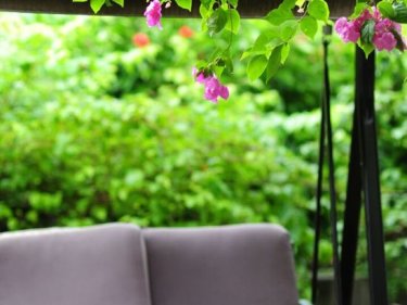 Shell Villa Apartel Resort in Palau | 2024 Updated prices, deals ...