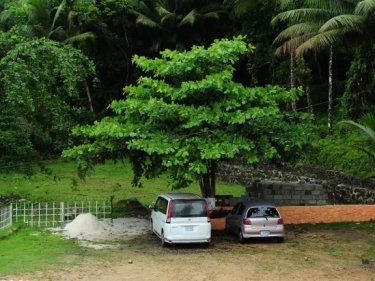 Shell Villa Apartel Resort in Palau | 2024 Updated prices, deals ...