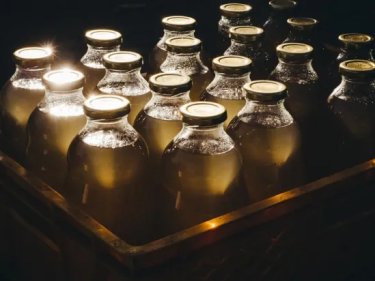 Forsthaus Strelitz in Neustrelitz | 2024 Updated prices, deals - Klook ...