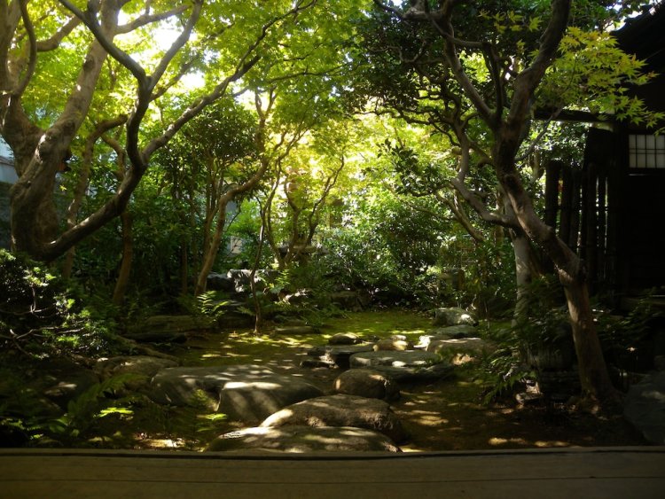 Best hotels near Kyoto Botanical Gardens, Japan 2025