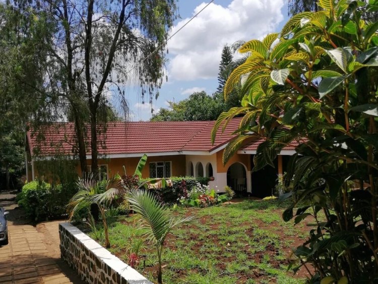 Utamaduni House in Arusha | 2024 Updated prices, deals - Klook ...