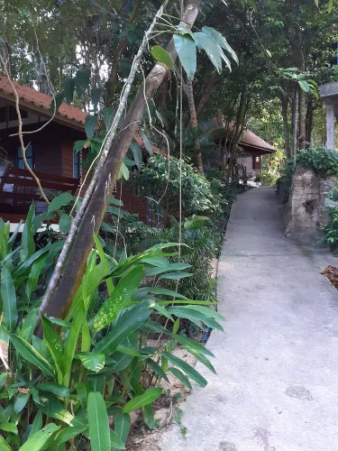 Baan Klong Kleng in Ranong Province | 2023 Updated prices, deals ...