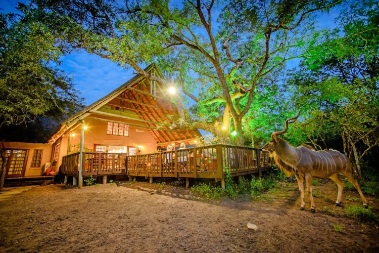 Needles Lodge Ehlanzeni - 2022 hotel deals - Klook United States
