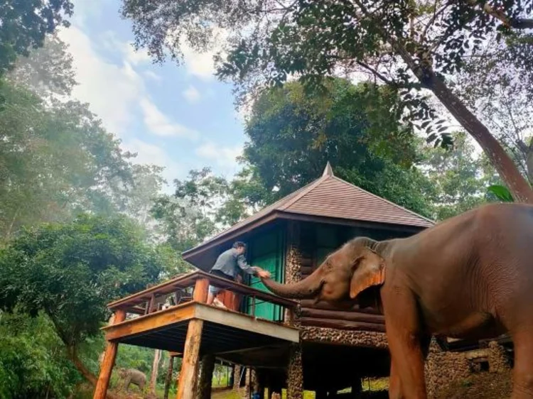 Tawan Riverside - Elephant Resort in Mae Wang | 2023 Updated prices ...